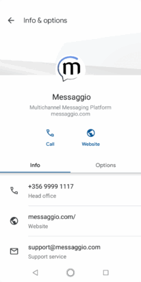 RCS Google RBM messaging — Advanced Messaging Solution